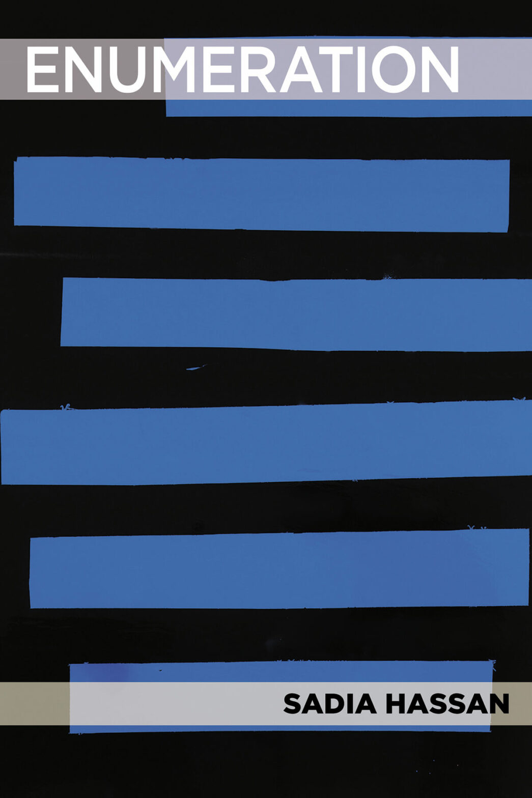 Chapbook Chats 8: Jamaica Baldwin Talks with "Enumeration" Author Sadia ...