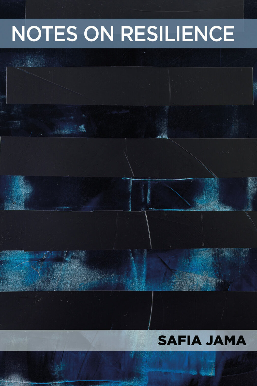 CHAPBOOK CHATS 4: Jamaica Baldwin Talks with "Notes on Resilience ...